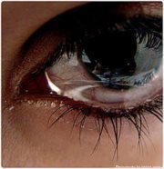 Anthony Burns: The Defeat and Triumph of a Fugitive Slave by Virginia ...