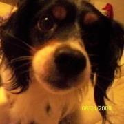 Healthy School Lunches by Amanda Ingelleri | Goodreads