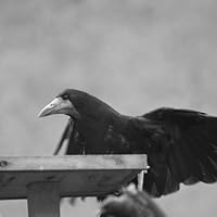 Putin's Progress by Peter Truscott | Goodreads