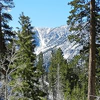 Childplay (Atopia Chronicles, #2) by Matthew Mather | Goodreads