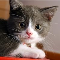 Like Pickle Juice on a Cookie (Eleanor, #1) by Julie Sternberg | Goodreads