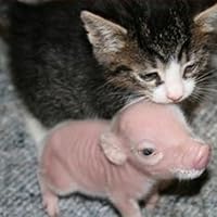 Aliens on Vacation by Clete Barrett Smith | Goodreads