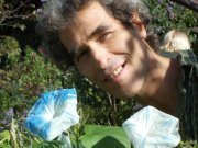 Right Use of Will: Healing and Evolving the Emotional Body by Ceanne ...