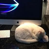 Baaa by David Macaulay | Goodreads