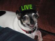 These Tangled Vines by Julianne MacLean | Goodreads