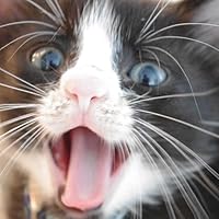 Wraeththu (Wraeththu #1-3) by Storm Constantine | Goodreads