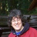 The Hidden Girl: A True Story of the Holocaust by Lola Rein Kaufman ...