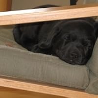 A Quality Of Light by Richard Wagamese | Goodreads