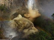 The Last Wild Wolves: Ghosts of the Rain Forest by Ian McAllister ...