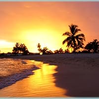 To Kiss a Dragon (Lords of Forbidden Fantasy #1) by Miranda Bridges ...