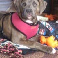 Cold Water Crossing: An Account of the Murders at the Isles of Shoals ...