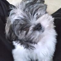 The Cosmic Serpent: DNA and the Origins of Knowledge by Jeremy Narby ...