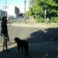 DEADLY PERSUASION: Why Women And Girls Must Fight The Addictive Power ...