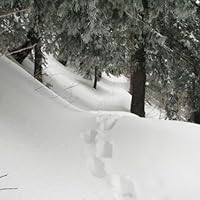 Udaas Naslain / اداس نسلیں by Abdullah Hussein | Goodreads