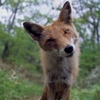 The Tell: The Little Clues That Reveal Big Truths about Who We Are by ...