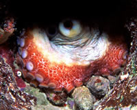 Shift (Silo, #2) by Hugh Howey | Goodreads