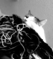 Jump Rope by Ruby Jean Jensen | Goodreads