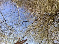 On the New by Boris Groys (2014) Paperback by Boris Groys | Goodreads