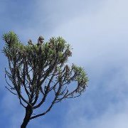 Dethroning Jesus: Exposing Popular Culture's Quest to Unseat the ...