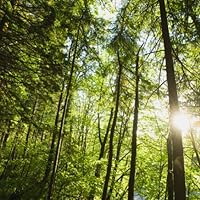 Vulcan 607: The Epic Story of the Most Remarkable British Air Attack ...