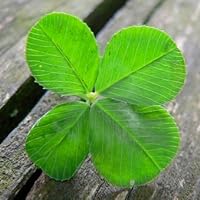 Addicted After All (Addicted, #5) by Krista Ritchie | Goodreads