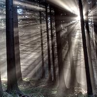 Sewerville: A Southern Gangster Novel by Aaron Saylor | Goodreads