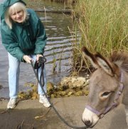 A Tale of Two Maidens by Anne Echols | Goodreads