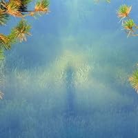 Duncton Quest (Duncton Chronicles, #2) by William Horwood | Goodreads