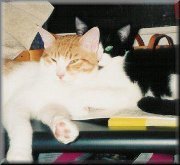 TALES FROM HIGH HALLACK (COLLECTED SHORT STORIES OF ANDRE NORTON #01 ...