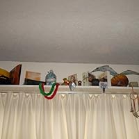 Flight of the Dragon Kyn by Susan Fletcher | Goodreads