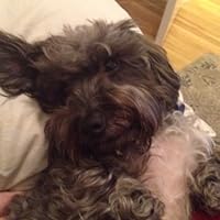 How Did It Begin?: The Origin of Our Curious Customs and Superstitions ...