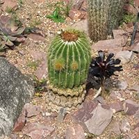 Last Light (Last Light, #1) by Alex Scarrow | Goodreads