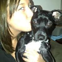 Inside the Divine Pattern by Anthony Douglas Williams | Goodreads