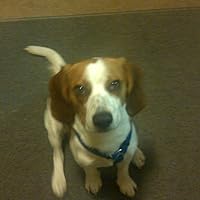 The Coming Global Superstorm by Art Bell | Goodreads