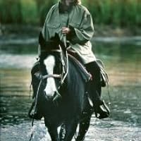 Some Bright Morning, I'll Fly Away: A Memoir by Alice Anderson | Goodreads