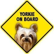 Modern Japanese Fiction and Its Traditions: An Introduction by J ...