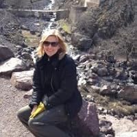 Bombshell: Explosive Medical Secrets That Will Redefine Aging by ...