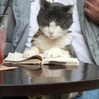 Fatal Circle (Persephone Alcmedi, #3) by Linda Robertson | Goodreads