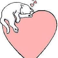 Translated Woman: Crossing the Border with Esperanza's Story by Ruth ...