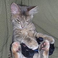 Smelly Ghost by Isabel Atherton | Goodreads