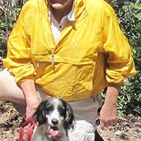 The Cruiser (Dan Lenson, #14) by David Poyer | Goodreads