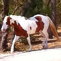 Bronze Dragon Codex (Dragon Codices, #2) by R.D. Henham | Goodreads