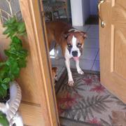 The Way Is Made by Walking: A Pilgrimage Along the Camino de Santiago ...