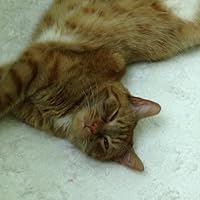 Scrawl by Mark Shulman | Goodreads