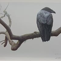 Promiscuities: The Secret Struggle for Womanhood by Naomi Wolf | Goodreads