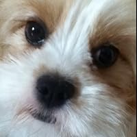 The Winter of Red Snow: The Revolutionary War Diary of Abigail Jane ...