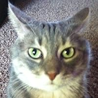 Who Was Sacagawea? by Judith Bloom Fradin | Goodreads