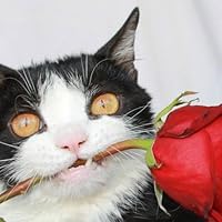 The Rule of Knowledge by Scott Baker | Goodreads