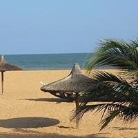 T4 by Ann Clare LeZotte | Goodreads