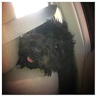 Borges on Writing by Jorge Luis Borges | Goodreads